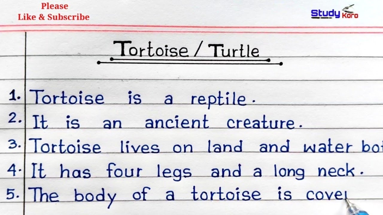 10 Lines On Tortoise In English 10 Lines On Turtle In English 10-lines-on-tortoise-in-english-10-lines-on-turtle-in-english