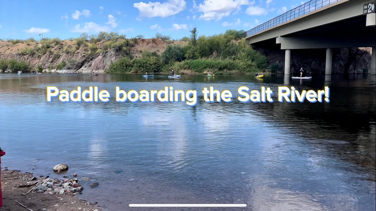 Paddle Boarding the Salt River! - YouTube