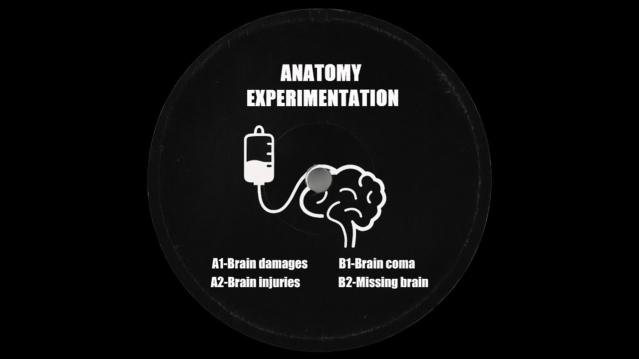 Anatomy Experimentation - Missing brain - YouTube