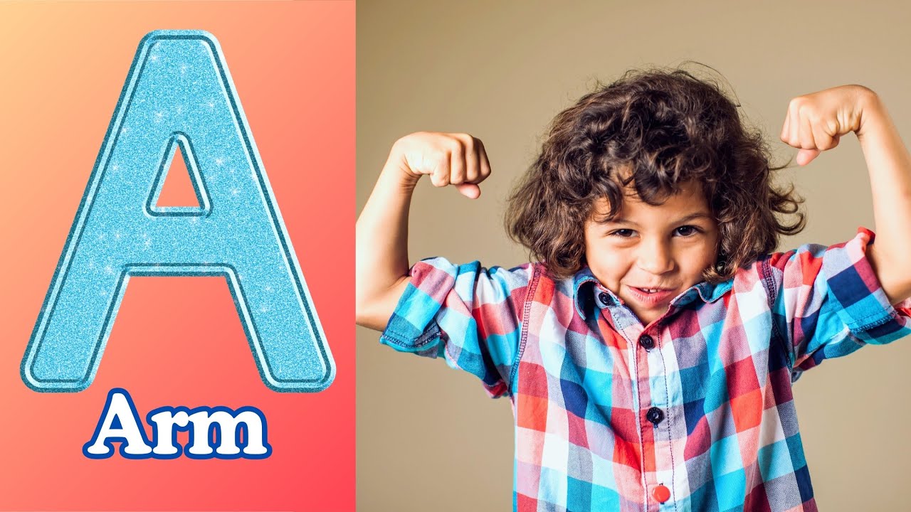 👶 ABC Body Parts Song for Kids | Learn A to Z Body Parts with Fun Music ...