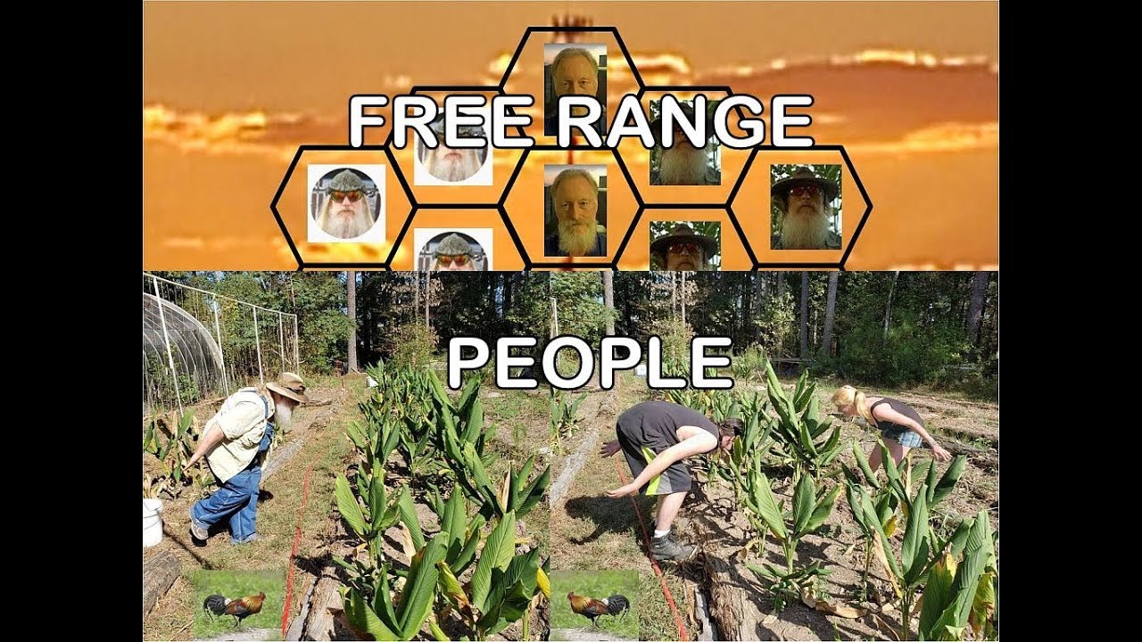 Free Range People - YouTube