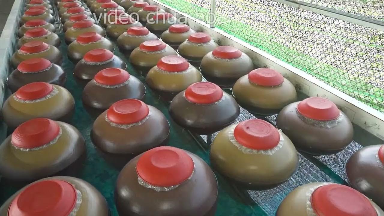 dd ngang demo2 - YouTube