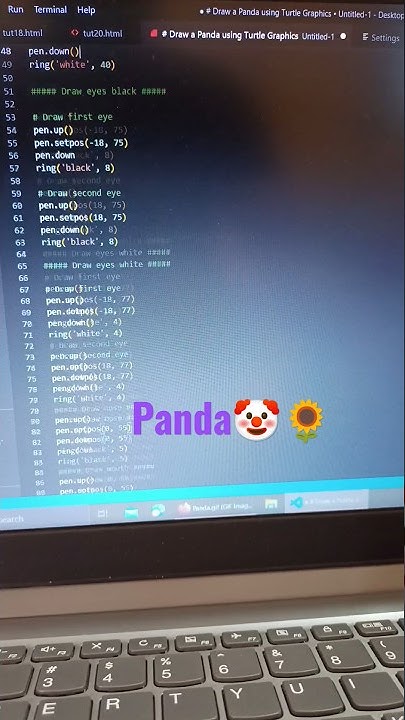 Creating Panda🤡 Using Python3 In Css🌻coding Programmer Programming Minivlog Youtube