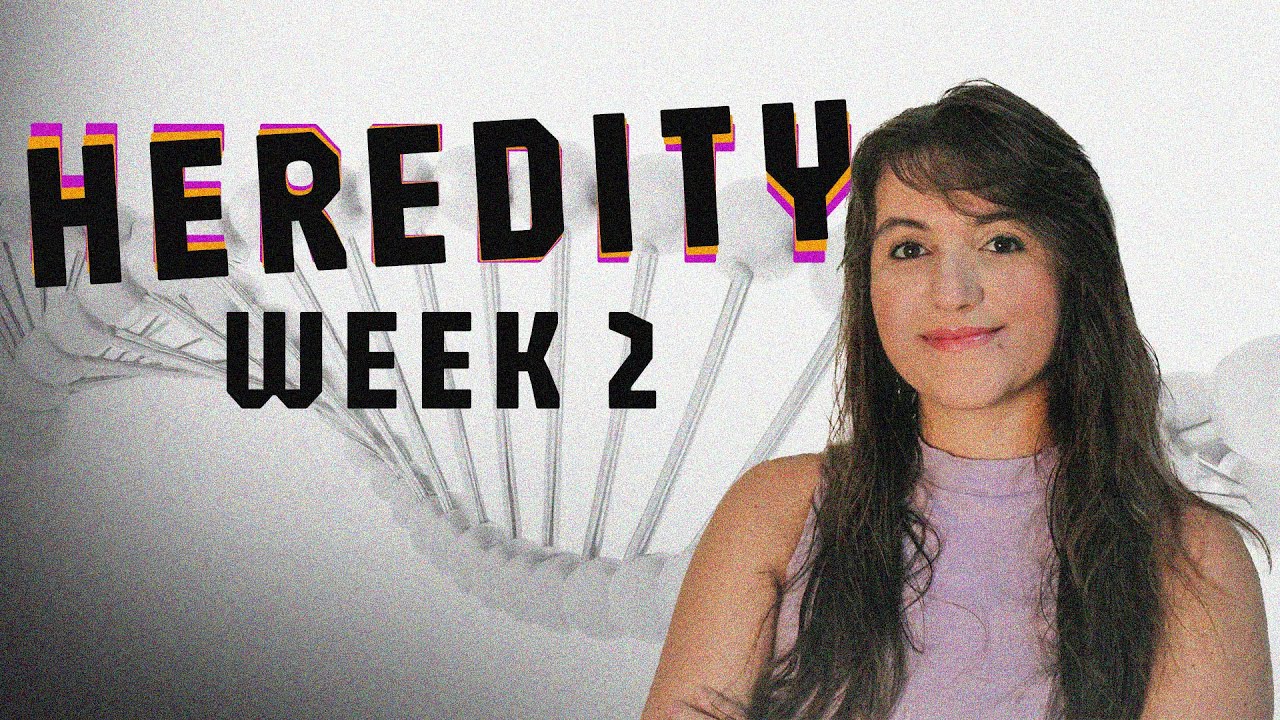 (CS50 AI) HEREDITY - PROJECT 2 | SOLUTION - YouTube