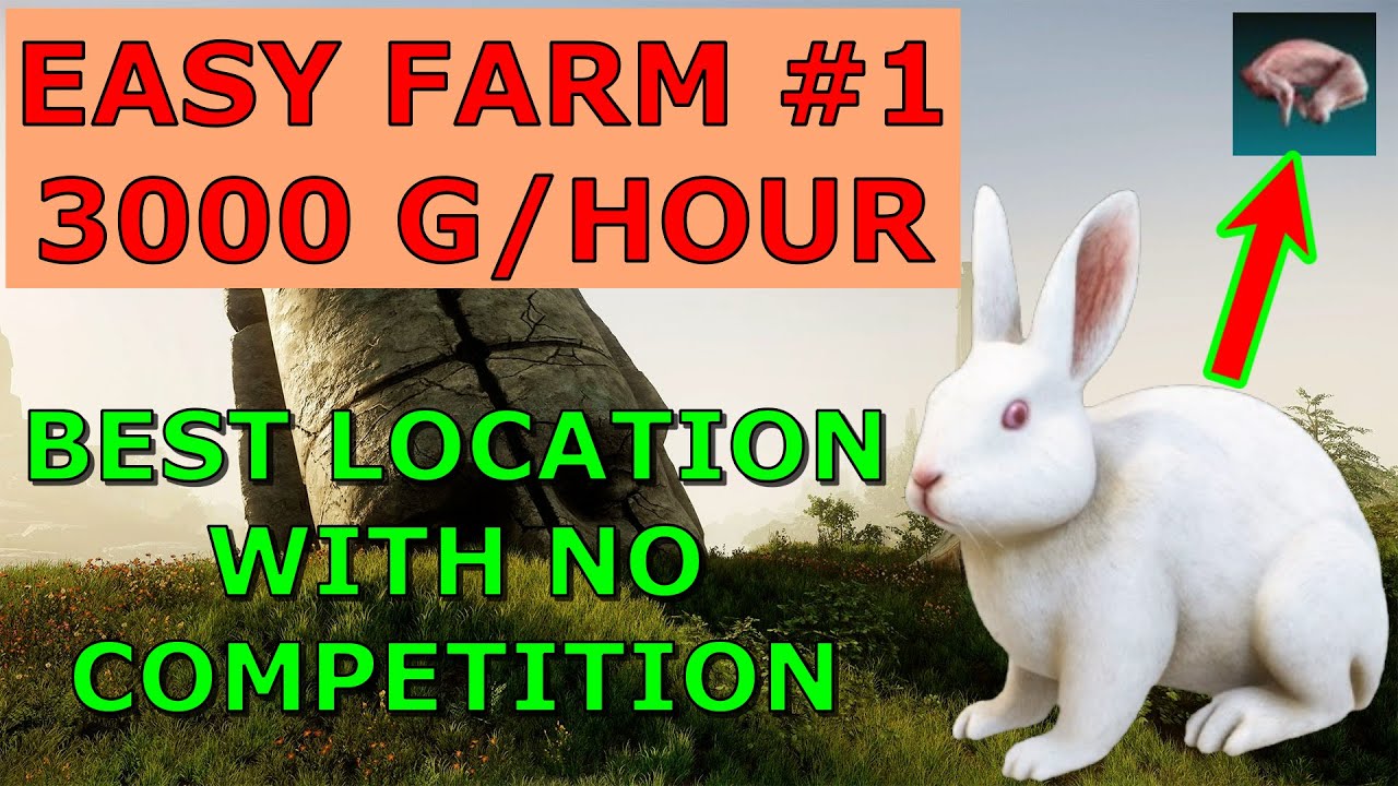 MAKE 3000 GOLD / Hour on Sumptuous Rabbit | BEST Rabbit Farm Location ...