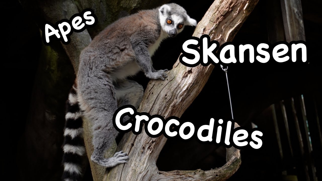 Skansen Zoo - Stockholm, Sweden - YouTube