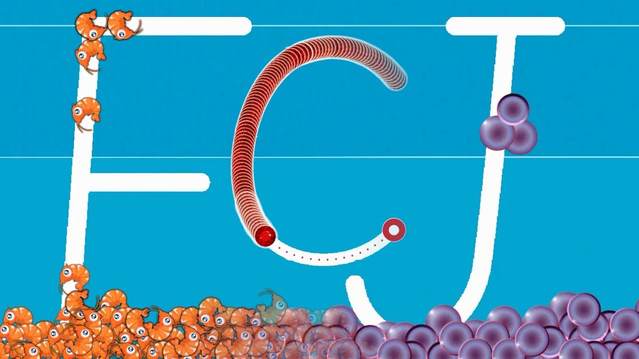 Cursive Writing Wizard Alphabet Handwritings Trace Letters and Words ...