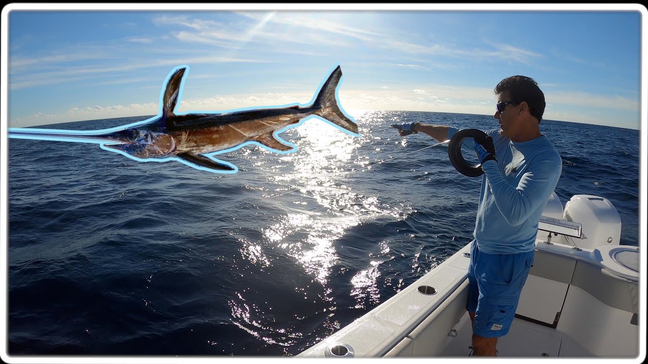 Going 4 for 6 on Sword fish. Had to Hand Line a Hooked Swordfish! - YouTube