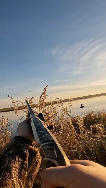Осенняя охота на уток с чубарой подсадной #shortvideo #hunting #охота # ...