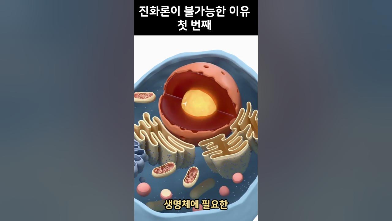 진화론이 불가능한 이유 첫 번째 Shorts 진화론 Youtube