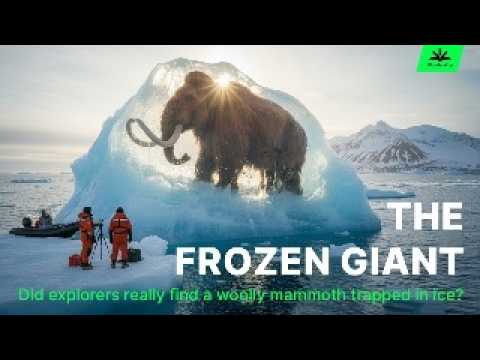 Mammoth Frozen in Iceberg | Real Discovery or Internet Hoax - YouTube