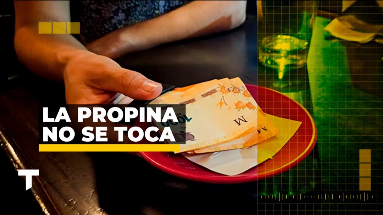 LLEGA LA PROPINA DIGITAL: se podrá pagar a través de débito, crédito, QR y billeteras virtuales ...