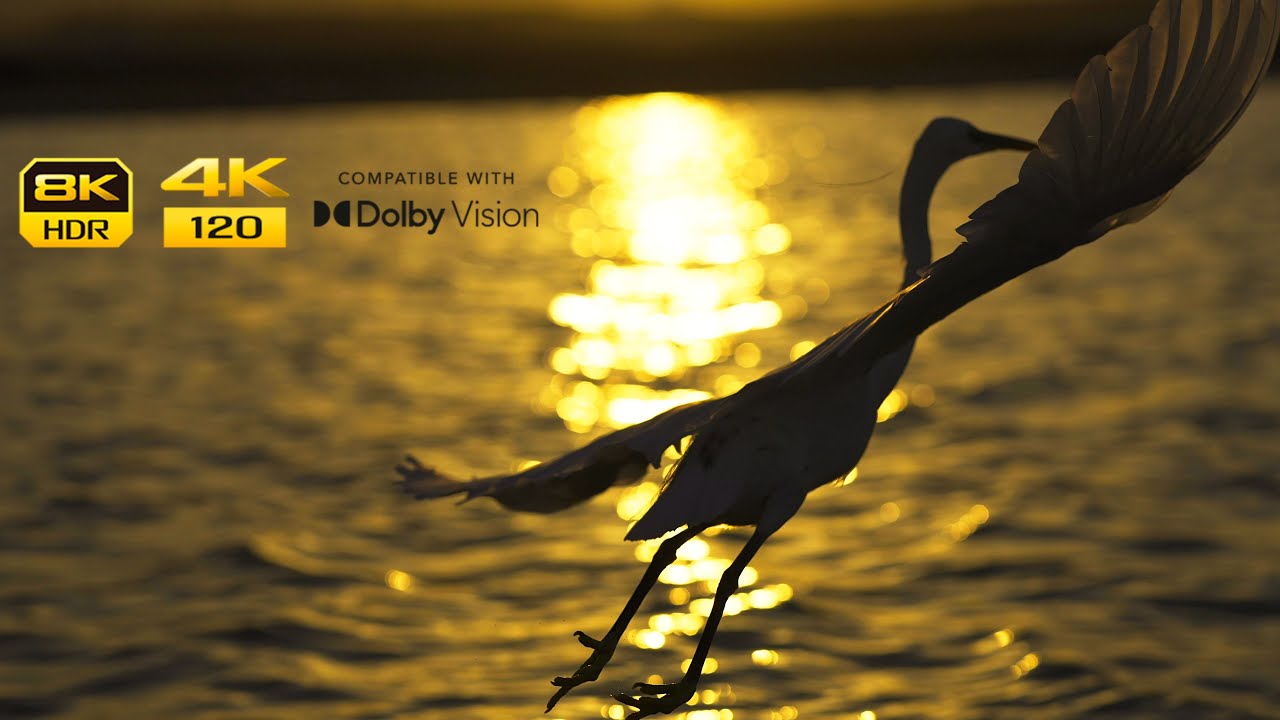 EGYPTIAN RELAXATION - AURORA BAY | 4K 120P HDR - YouTube