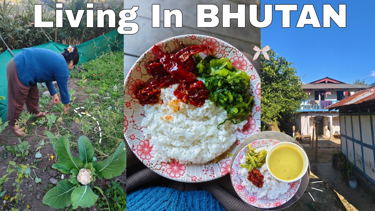 Living In BHUTAN | Asian Village Life | Bhutan Mountain - YouTube