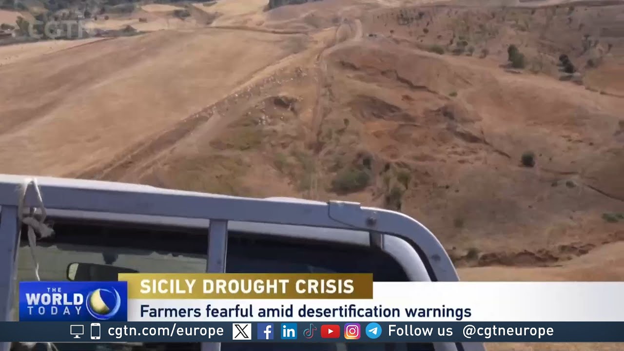 ‘33% desert’: Sicily battles its worst drought ever - YouTube