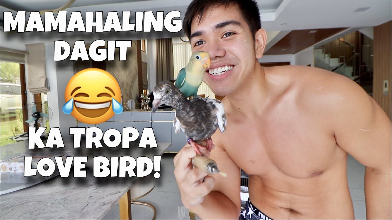 MAMAHALING DAGIT NA KALAPATE PINATUNGAN NG LOVE BIRD! Tropa ibon namin ...