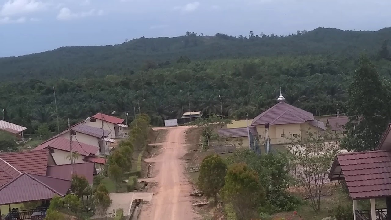 Perumahan Di Perkebunan Kelapa Sawit Youtube