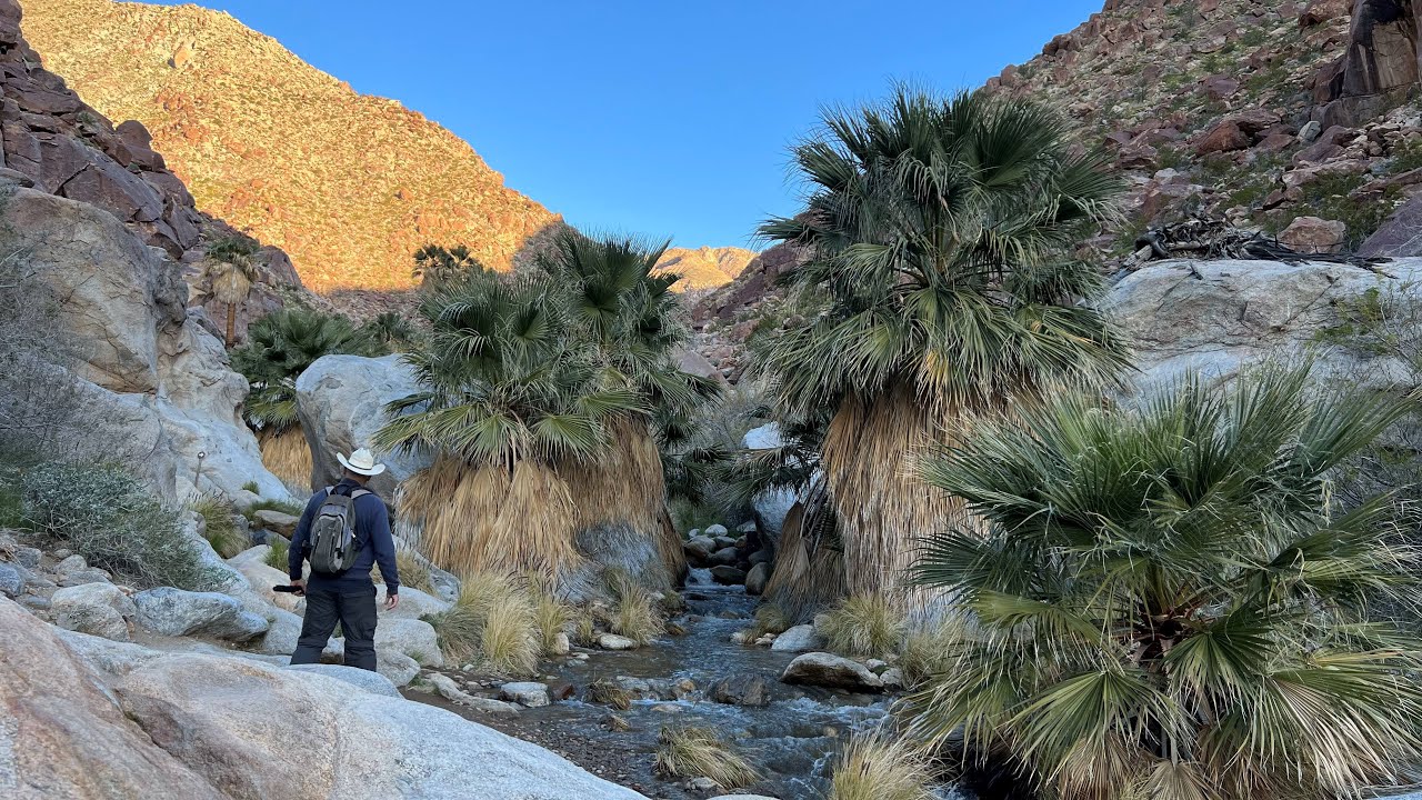 Best Hikes In California | Palm Canyon Trail in Anza Borrego State Park ...