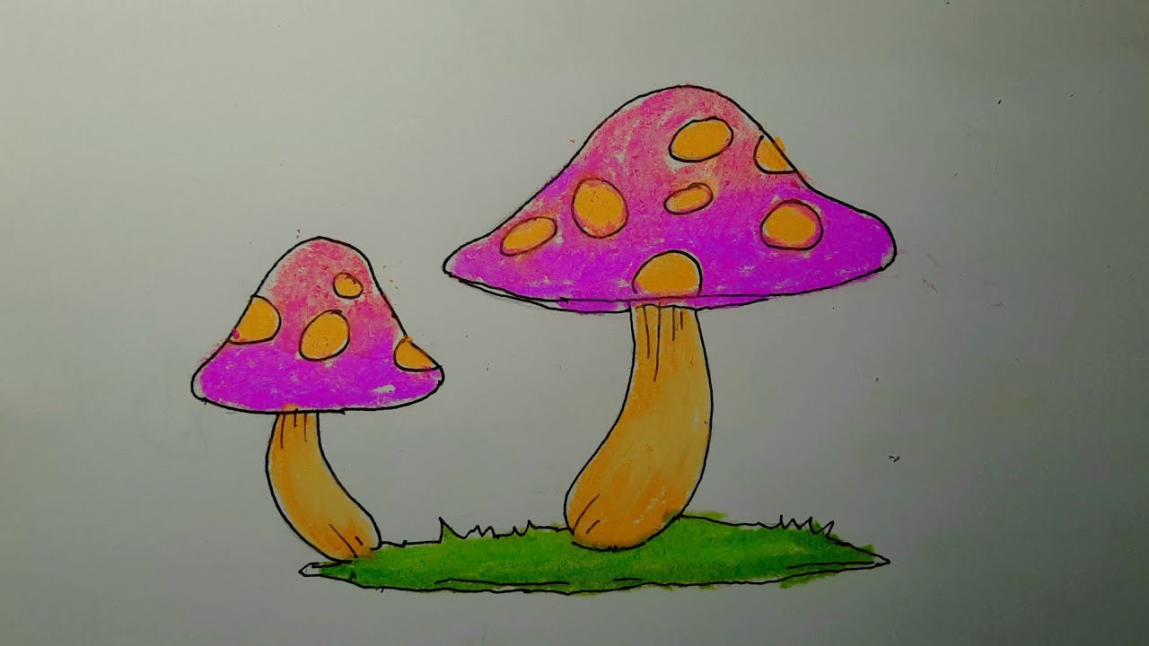 How to Draw Fungi Step by Step | Drawing Fungi and Color It - YouTube