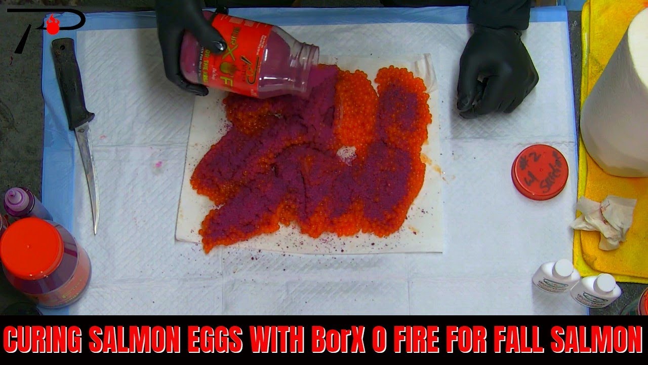 Curing Salmon Eggs With BorX O Fire For Fall Salmon - YouTube
