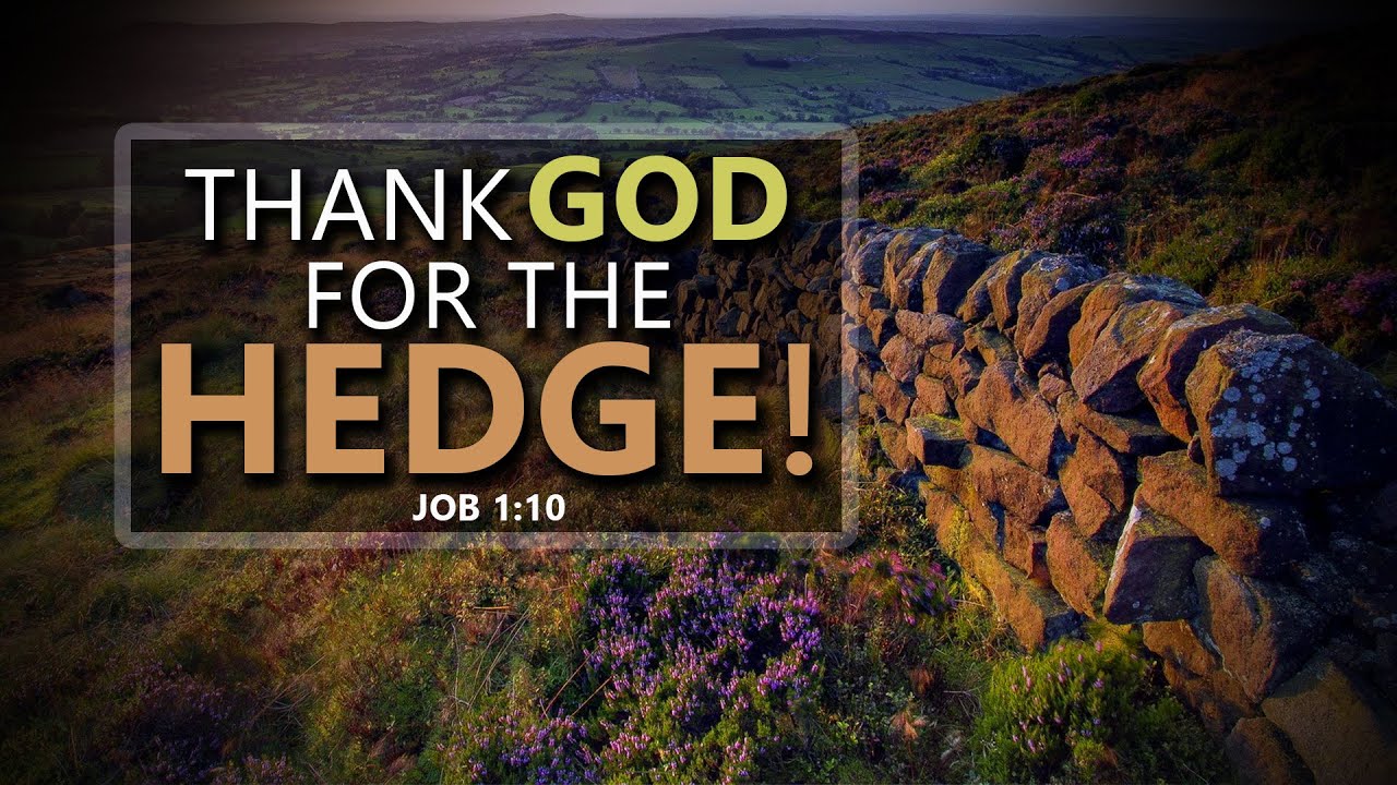 Thank God for the Hedge! - Pastor Stacey Shiflett - YouTube