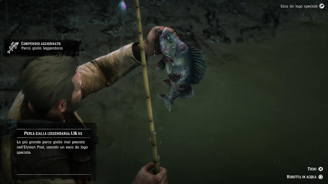 Red Dead Redemption 2 - Legendary fish #5 - Legendary Perch caught ...