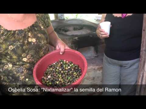 Curso de Ramon - YouTube