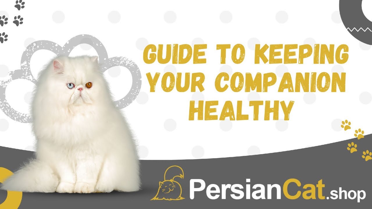 A guide to keeping your companion healthy - YouTube