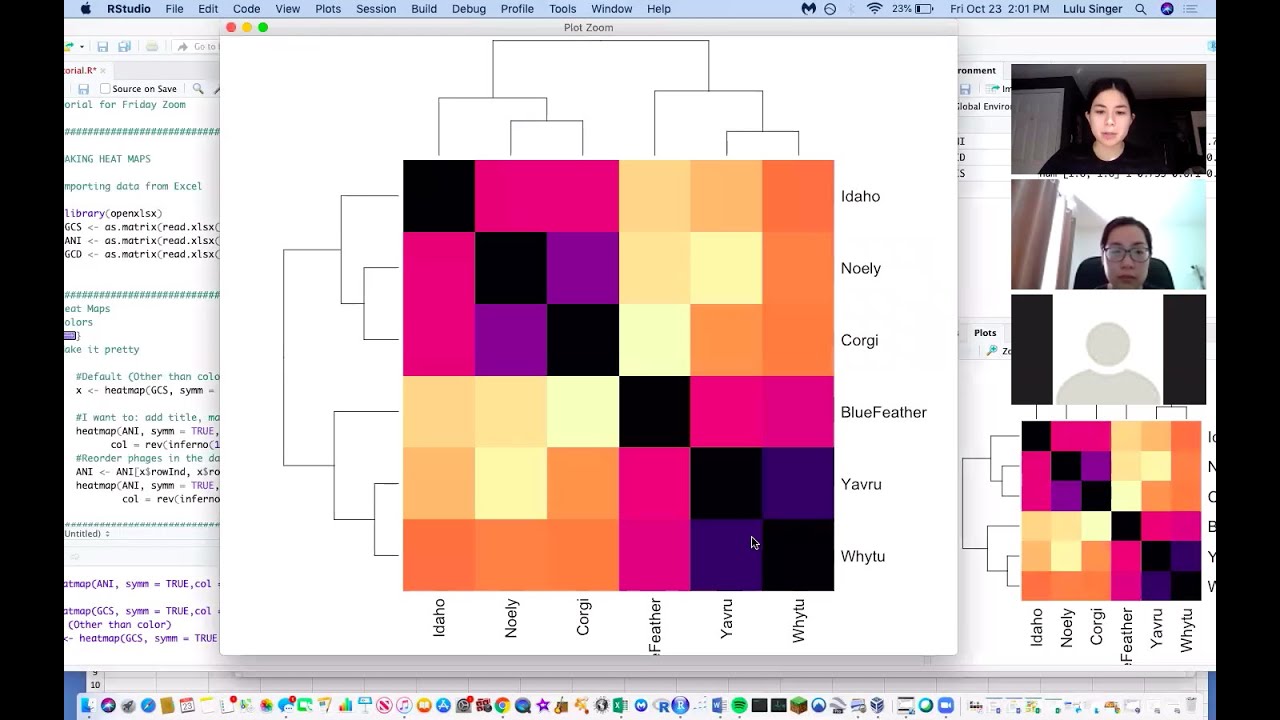 Phage Genomics Heat Map Tutorial: DNA Master, Excel, and R Studio - YouTube