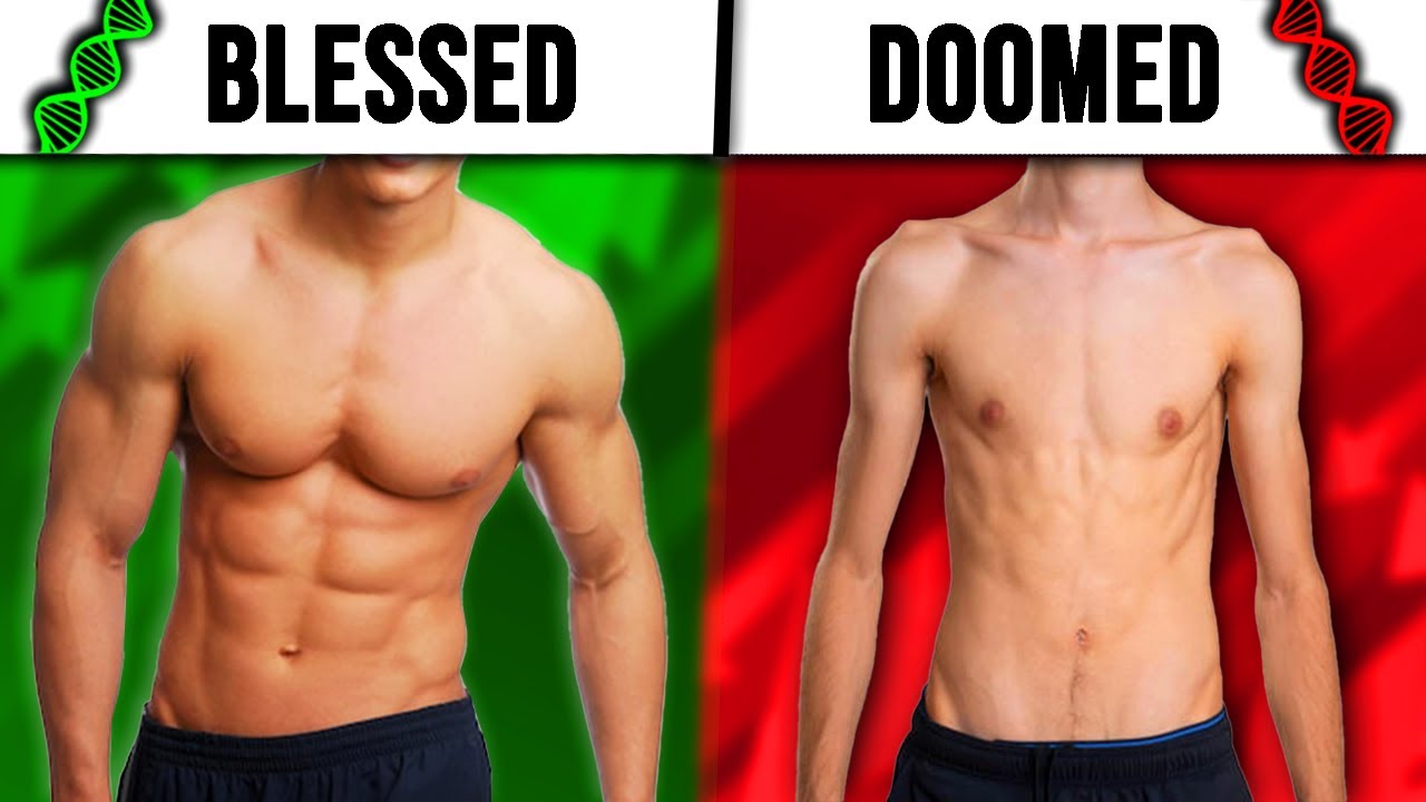 Do You Have GOOD Or BAD Muscle Building GENETICS? - YouTube