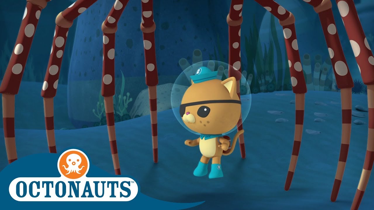 #StayHome Octonauts - Kwazii's Phobia | Compilation | Cartoons for Kids ...