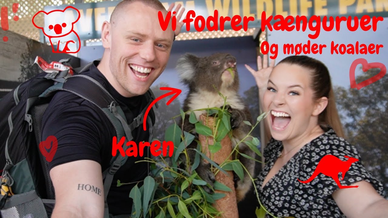 Fodrer kænguruer, møder koalaer og møder andre seje australske dyr ...