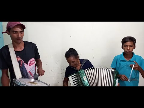 SANFONEIRA SEBASTIANA (MININA DA SAIA VERDE ).