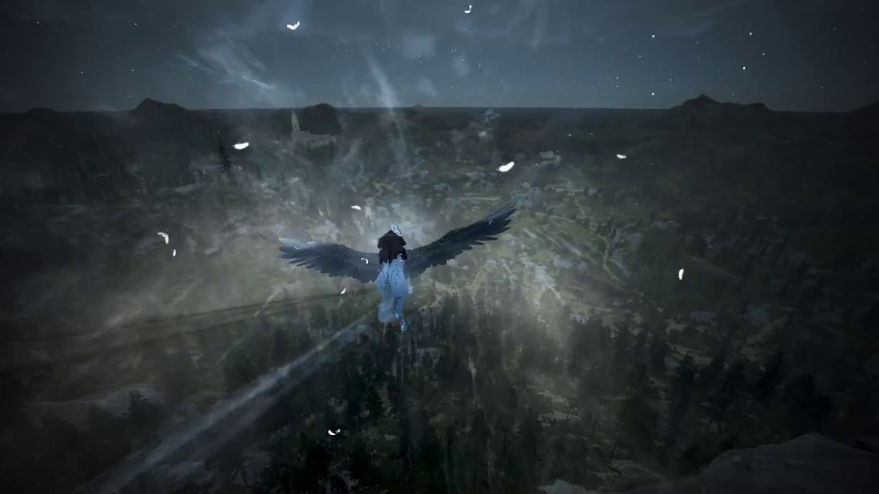 BDO Pegasus test - YouTube