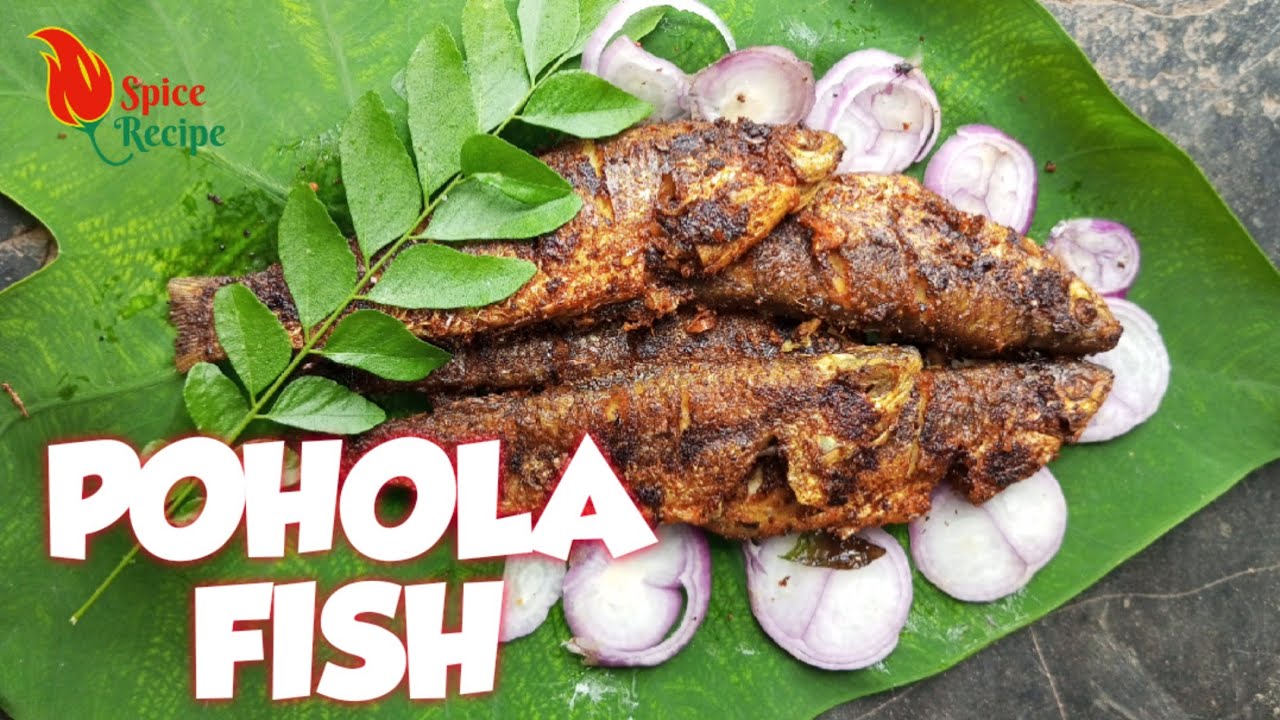 POHOLA FISH FRY RECIPE | SPICE FISH FRY #fishfry - YouTube