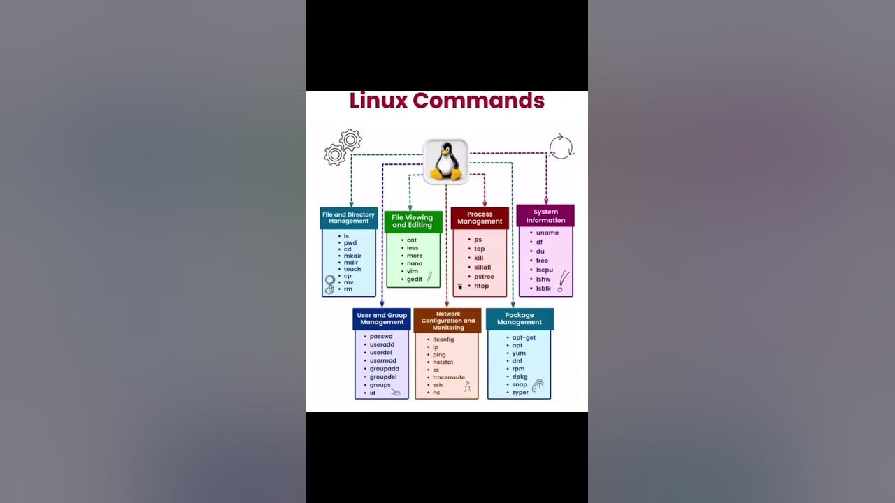 Linux Commands | Learn Linux| Linux from basic to advance #linux #shorts #commands #subscribe # ...