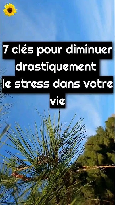 7 clés pour diminuer le stress dans votre vie - YouTube