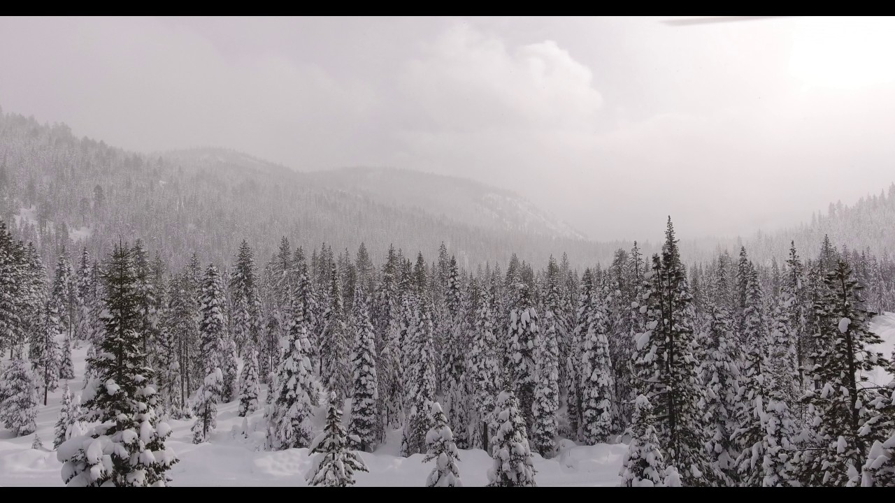 Snow covered trees over the Olympic Valley - YouTube