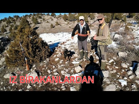 TAVŞAN AVI. ''KOPAYIN ÖNÜNDE GELSEDE OLUR, GELMESEDE''  (12)