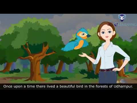 Class 6 chapter number 1 A Tale of Two Birds book of supplementary ...