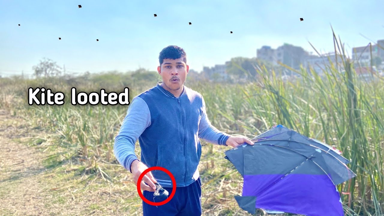 I Have Looted Kites in Ground | Kite catching | Caught Kites | - YouTube