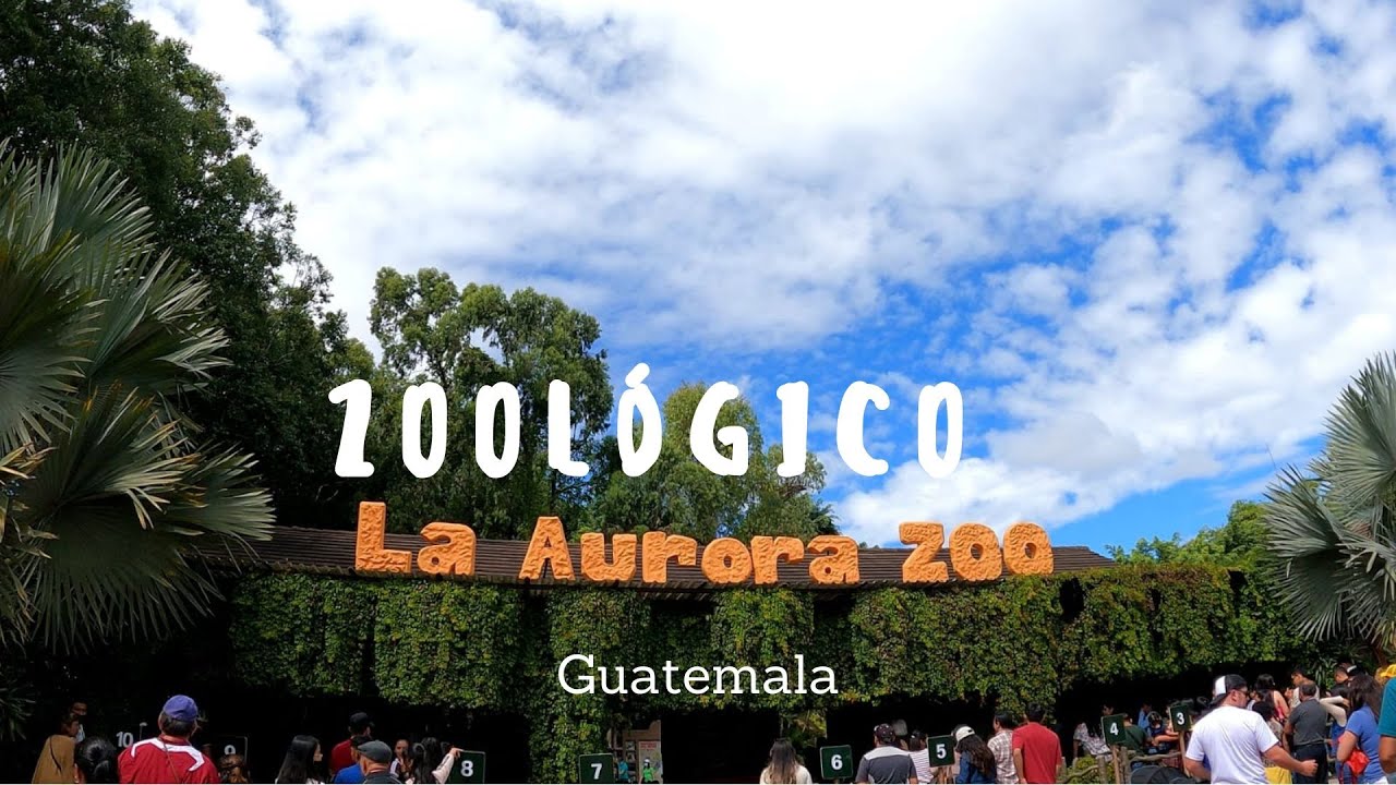 Conociendo Guate | Zoológico la Aurora | Ciudad de Guatemala - YouTube