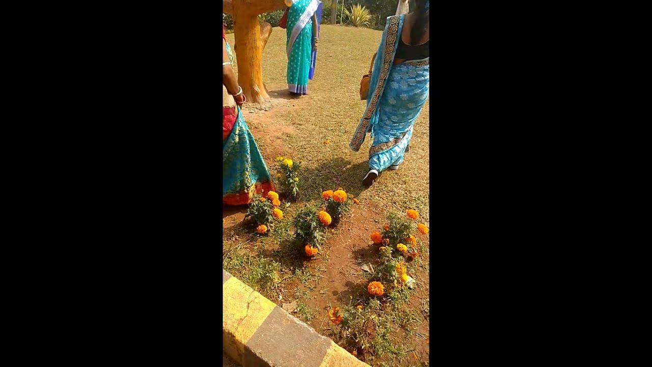 Sanaghagra Beautiful Garden Tour - YouTube
