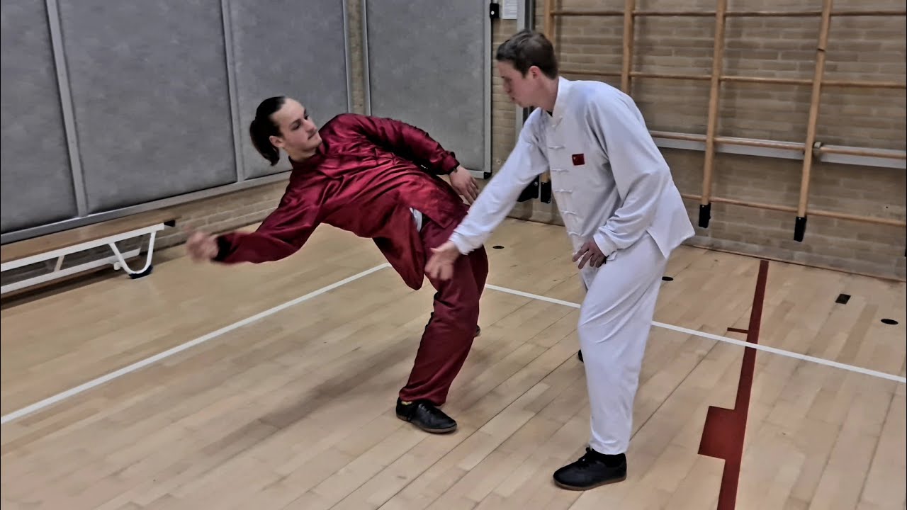 Push Hands 推手 'Single Hand' - Parallel Stance | Tai Chi Apeldoorn He ...