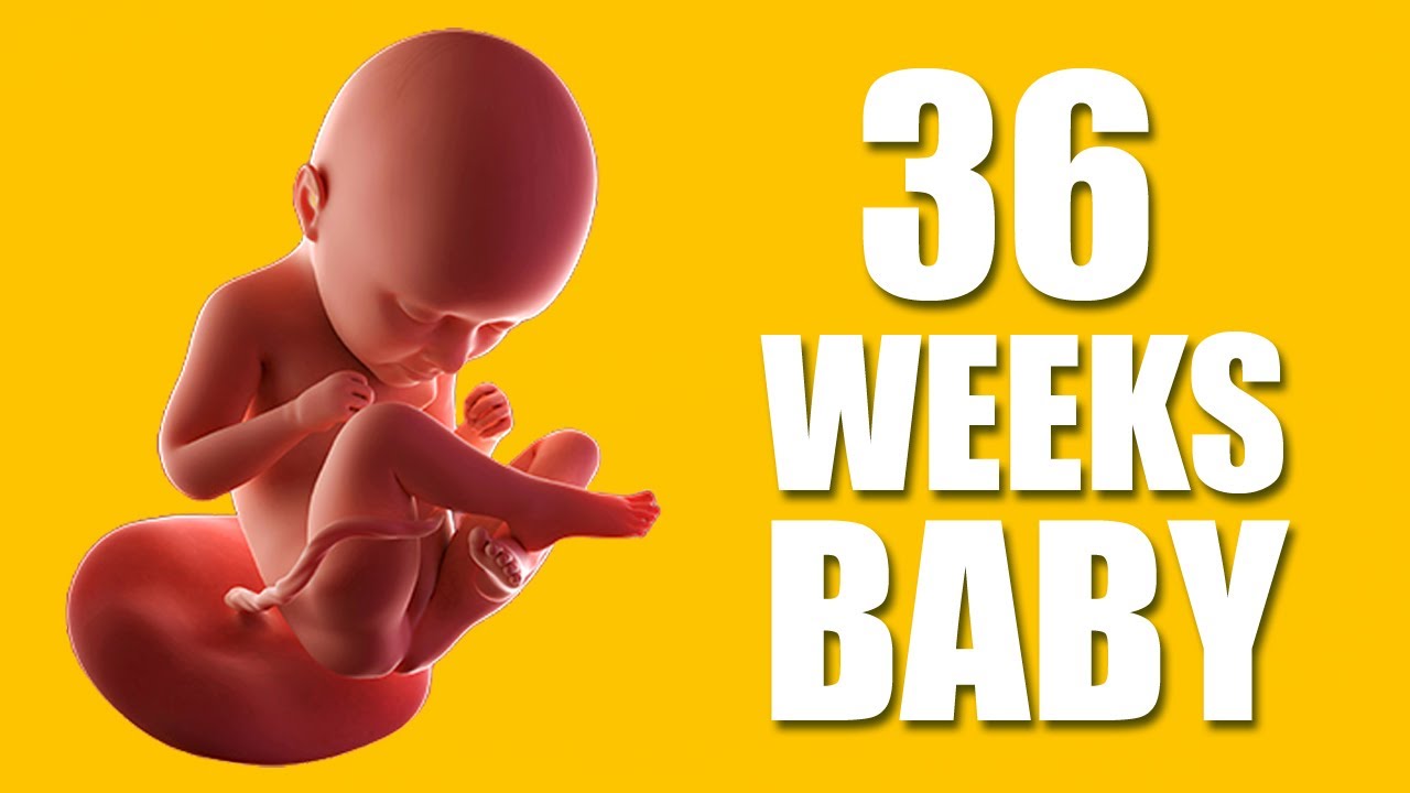 36 Weeks Pregnant Baby Position - Weight Size and Movement - YouTube