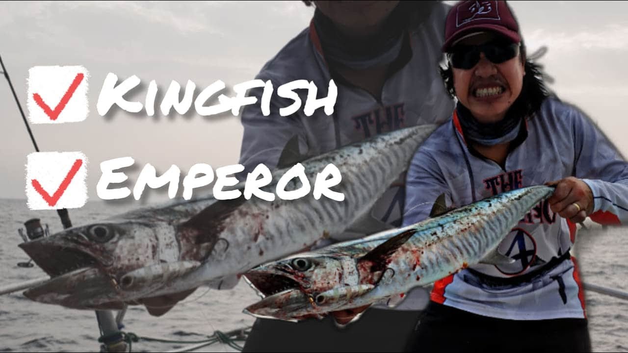 Back to Back Kingfish during Qatar Summer | Jigging and Bottom Fishing ...
