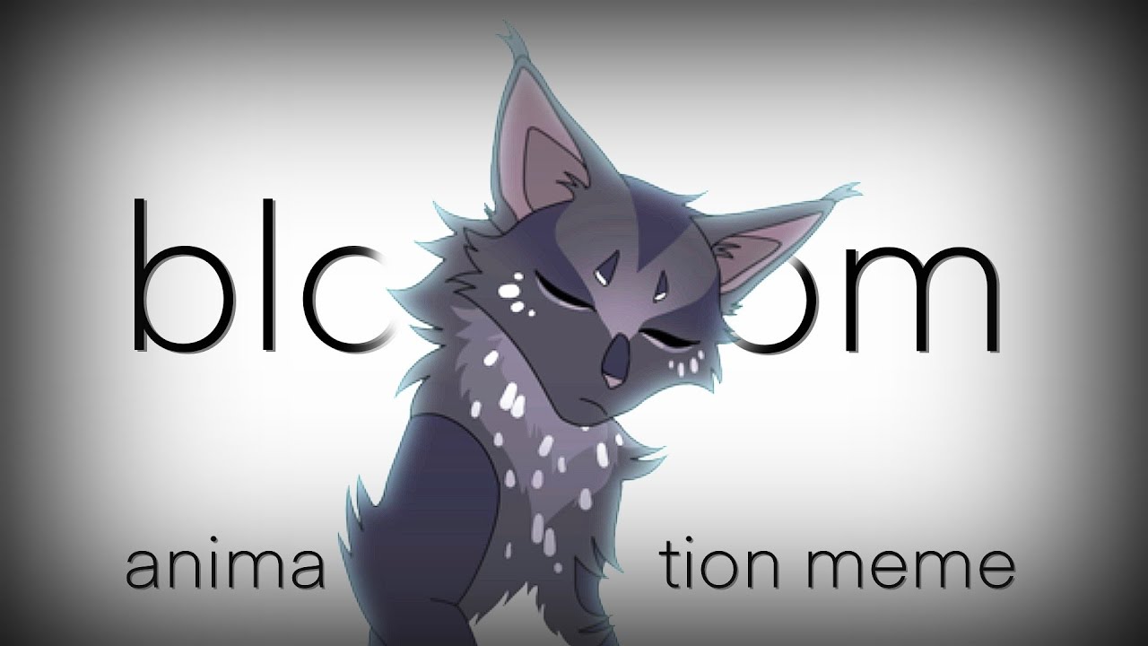 BLOOM | Animation Meme [OCs] - YouTube