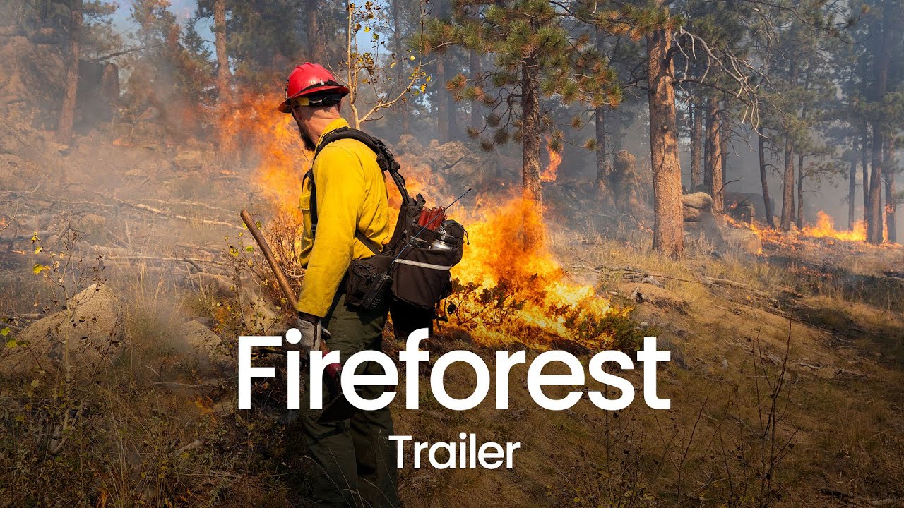 Fireforest Trailer - YouTube