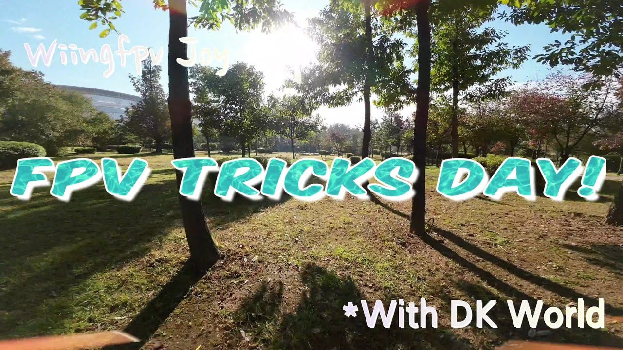 FPV Tricks Day! / 아날로그 fpv와 트릭 연습하는 날! / with DK World FPV / 짧지만 Hard하게 ...