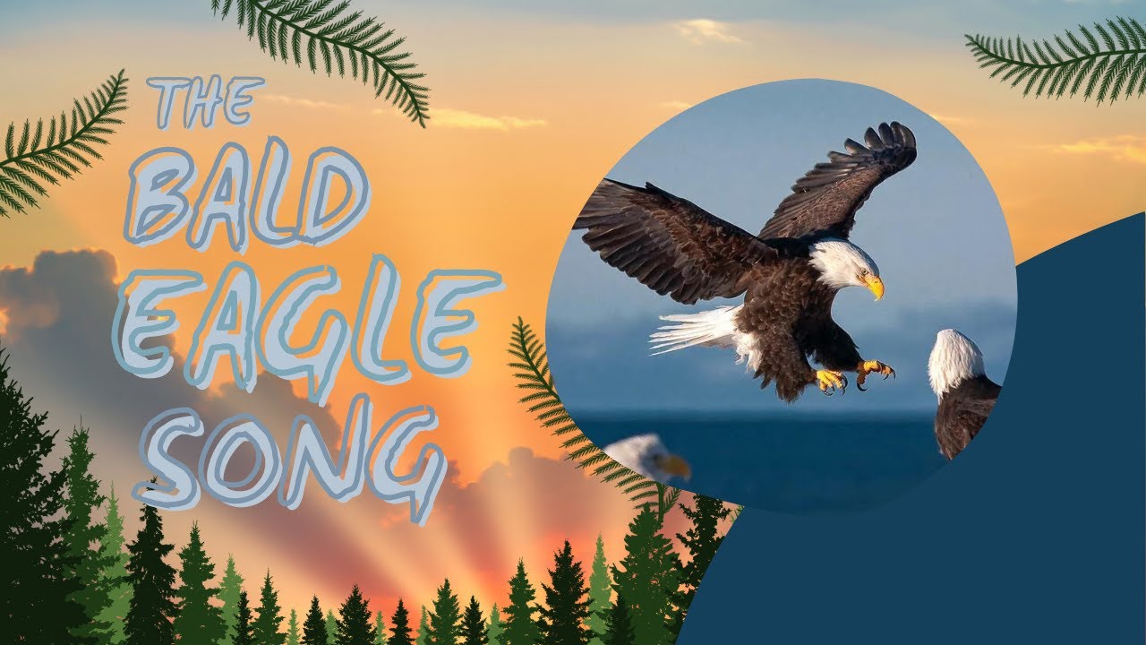 The Bald Eagle Song | Animal Songs for Kids | Bald Eagle Facts | Silly ...